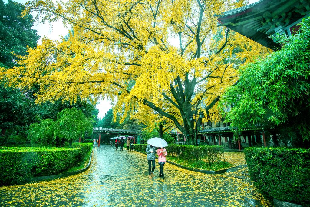 Nanjing Normal University NNU - China Admissions