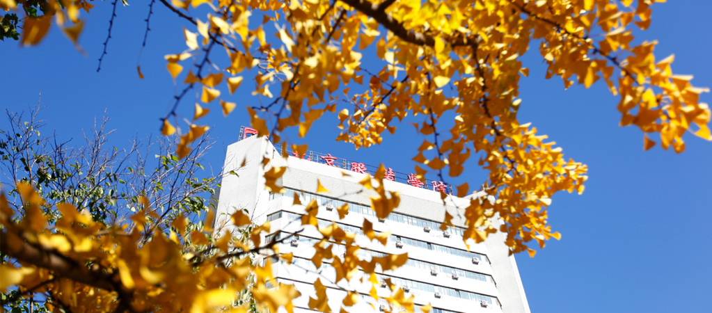 Beijing Institute of Fashion Technology BIFT - China Admissions