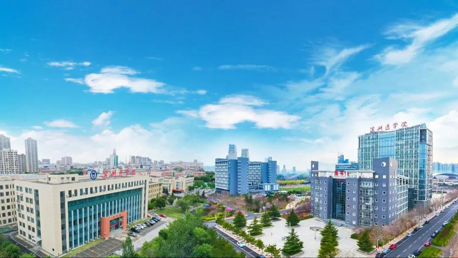 Binzhou Medical University BMU - China Admissions