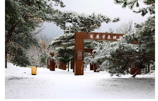 Dalian University DLU - China Admissions