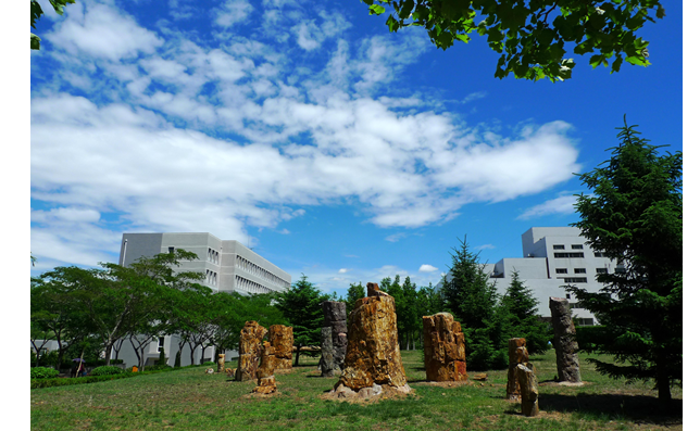 Dalian University DLU - China Admissions