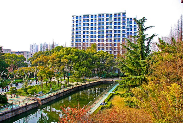 Master’s in Biotechnology and Bioengineering at East China University ...