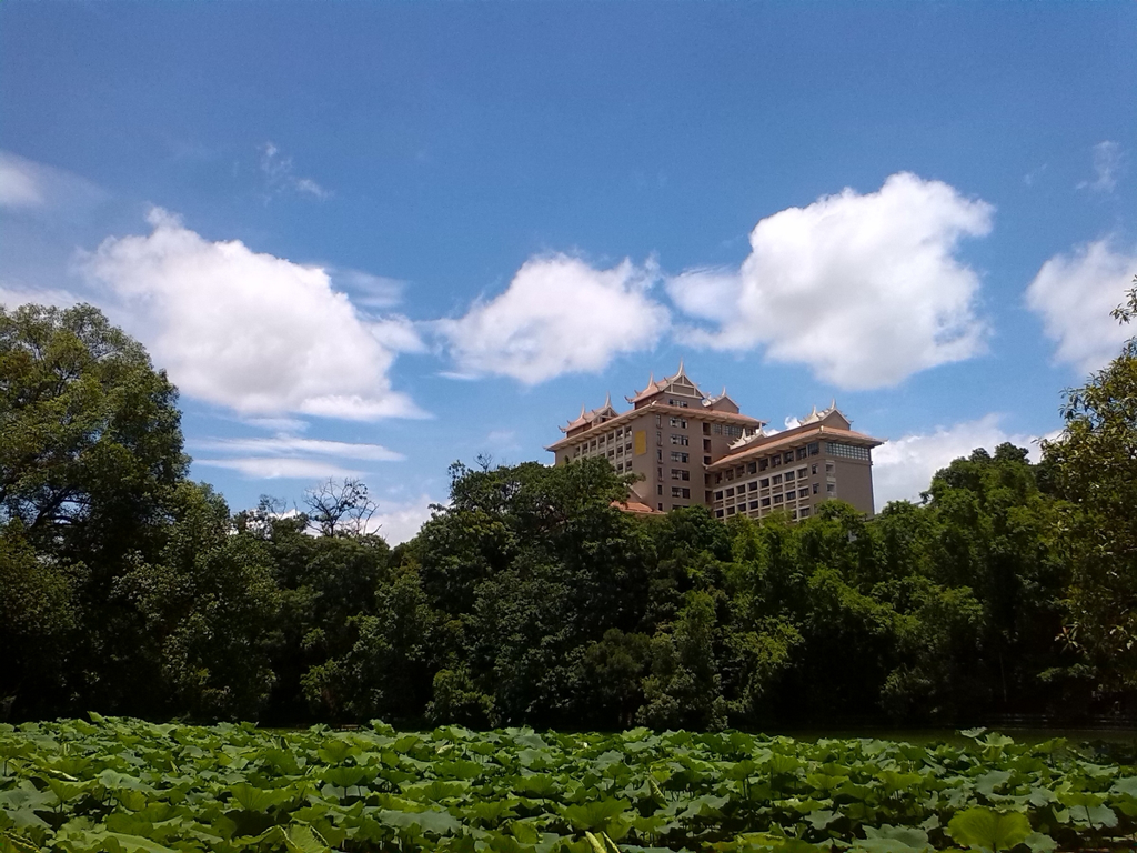 Guangxi University for Nationalities GXUN - China Admissions