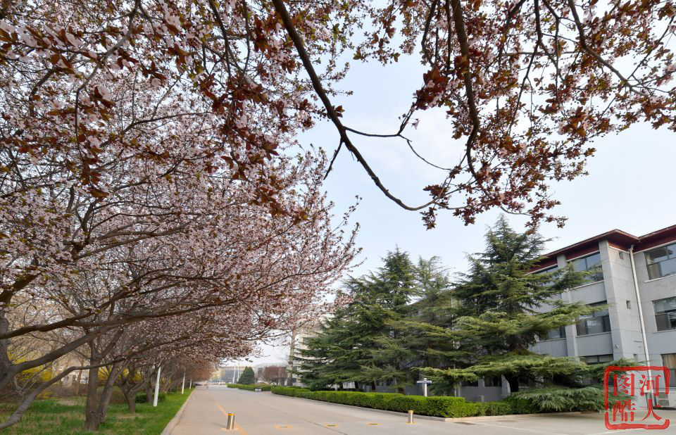 Hebei University HBU - China Admissions