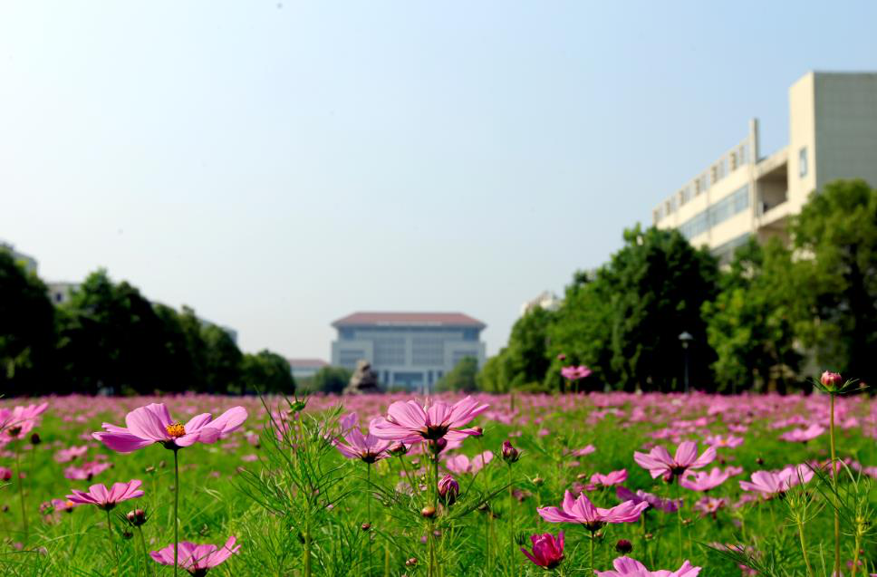 Jinling Institute of Technology JIT - China Admissions