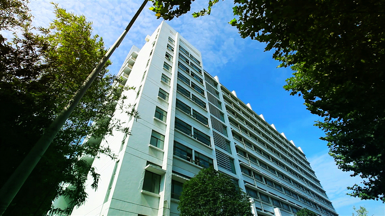 Nanjing Forestry University NJFU - China Admissions