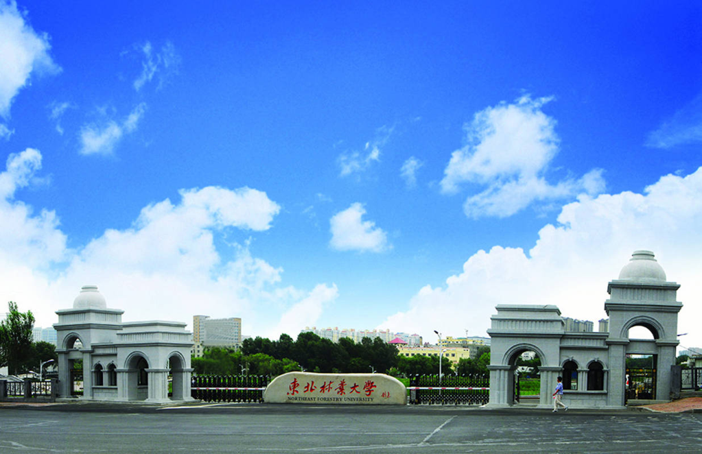 Northeast Forestry University NEFU - China Admissions