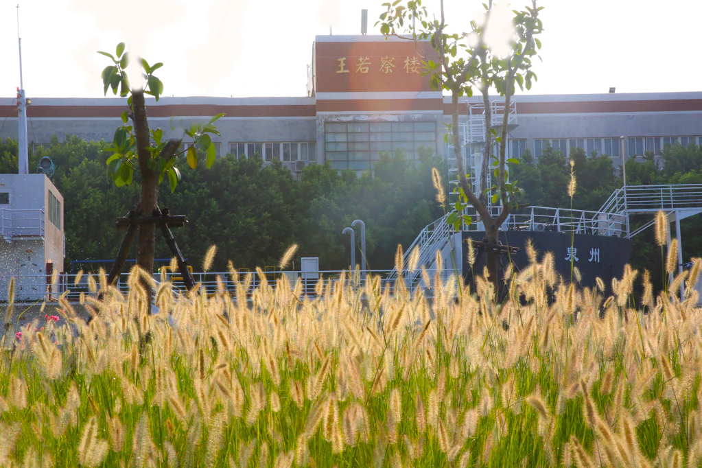 Quanzhou Normal University QZNU - China Admissions