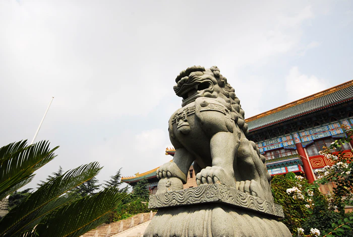 Shanghai University of Sport SUS - China Admissions