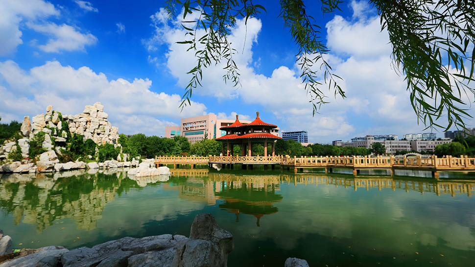 Weifang University WFU - China Admissions