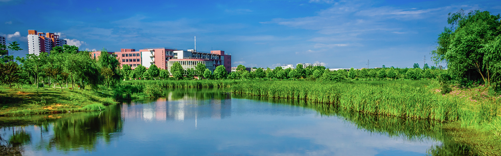 Wuhan Textile University WTU - China Admissions