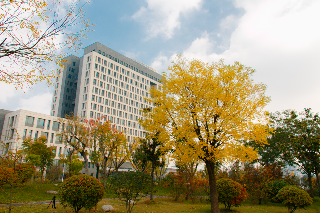 Xuzhou Institute of Technology XZIT - China Admissions
