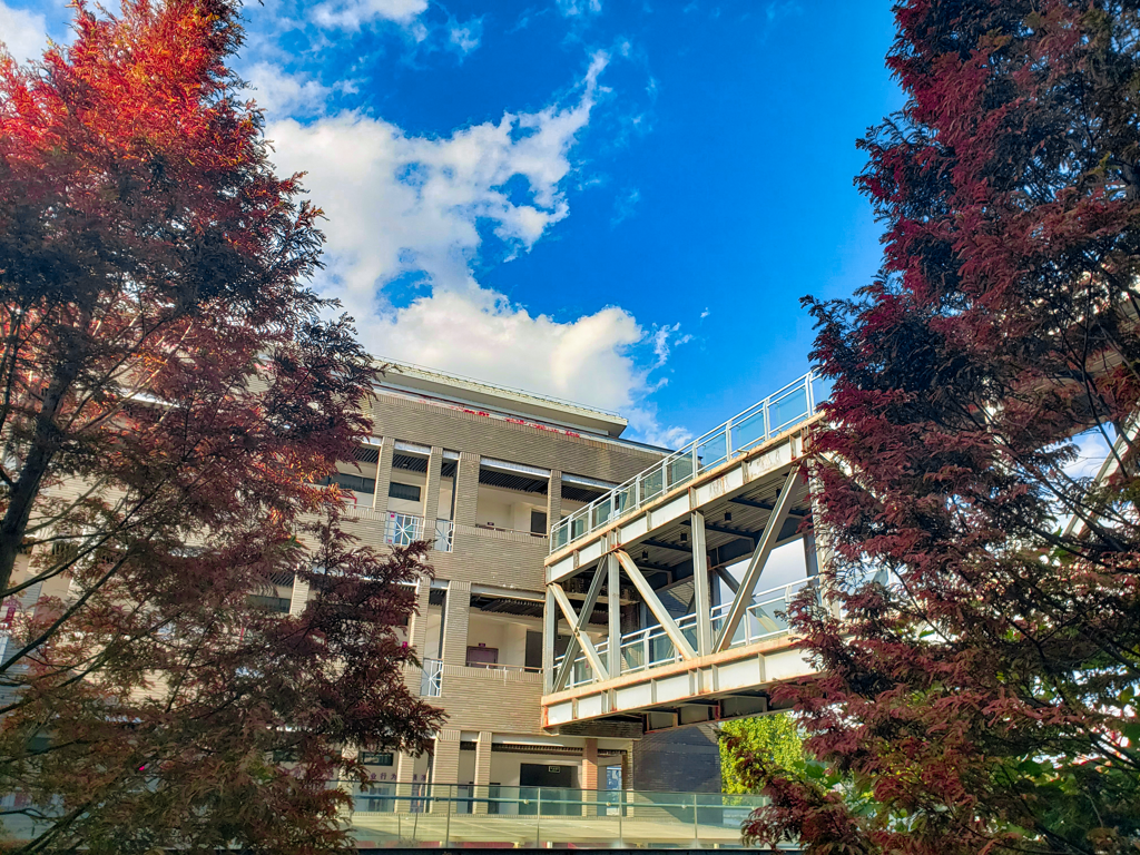 Yunnan Normal University YNNU - China Admissions