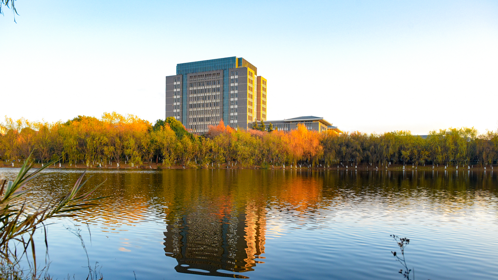 Yunnan Normal University YNNU - China Admissions