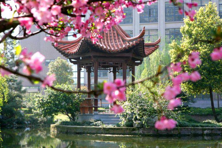 Bachelor’s in Software Engineering at Zhejiang University of Technology ...